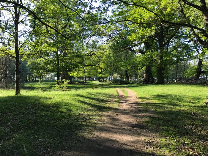 Gamla Ekudden nature reserve